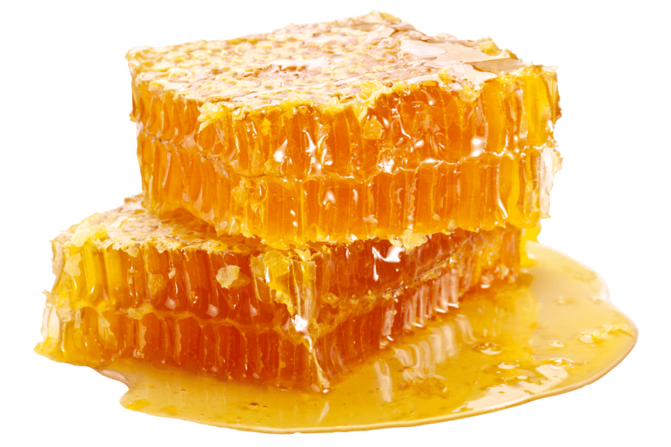 Inicio - Laboratorios Rangel